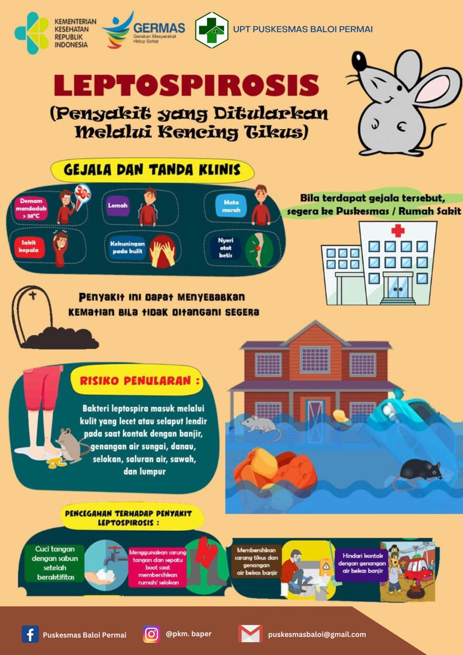 LEPTOSPIROSIS – PUSKESMAS BALOI PERMAI